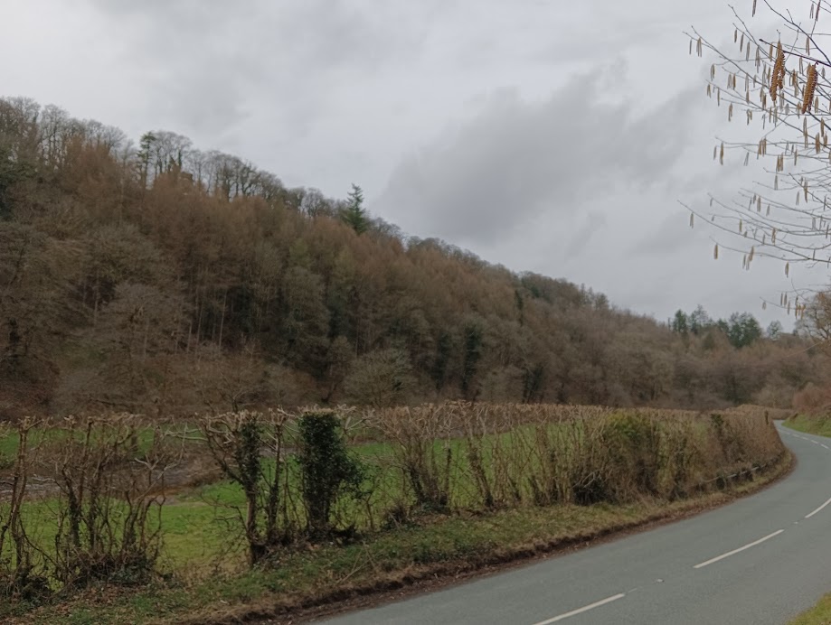 Sale of standing timber at Milton Woodlands